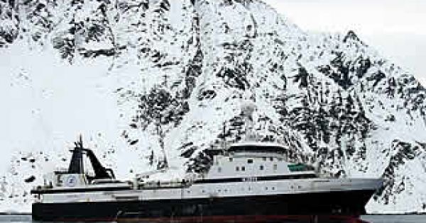 Norway seeking trawlers to licence for Antarctic krill — MercoPress