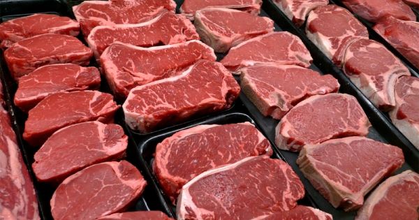 Significant drop in Argentine beef exports reported — MercoPress