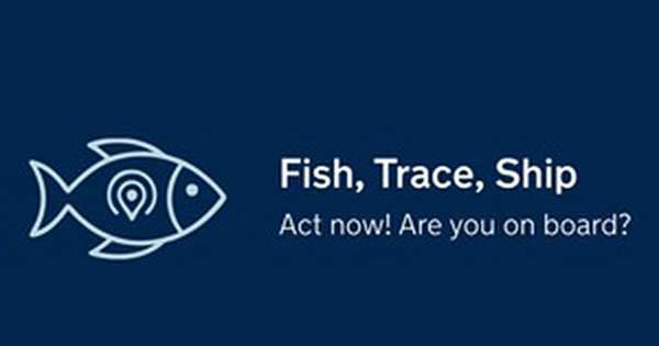 Fish, Trace, Ship – help shape UK Fish Export Service — MercoPress