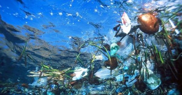 Researchers discover a huge North Atlantic Garbage Patch — MercoPress
