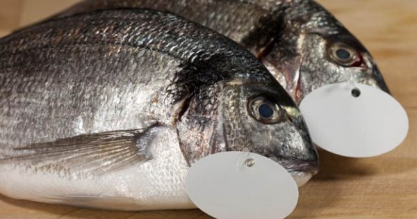 Conservationists claim seafood labelling ‘fails’ to support sustainable ...