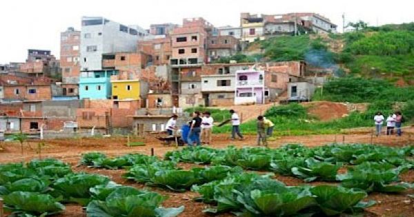 A majority of Brazilian (54%) joined the ranks of middle class in eight ...