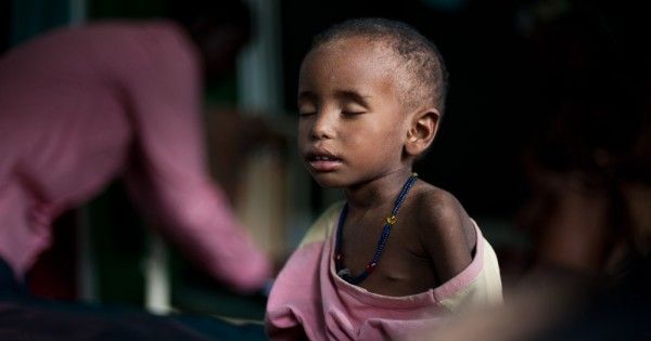 One in eight people worldwide suffer from chronic hunger, says FAO ...