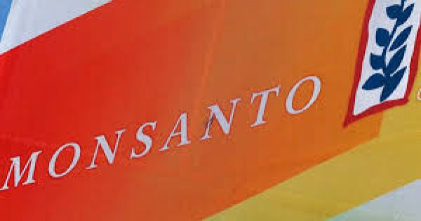 Argentina and Monsanto reach preliminary agreement on seeds and soy ...