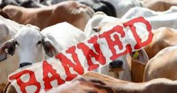 Irish farmers want meat removed from Mercosur/EU trade talks — MercoPress