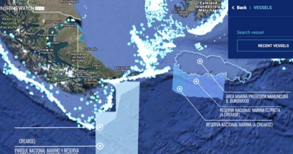 Argentina creates two marine protected areas in the South Atlantic ...