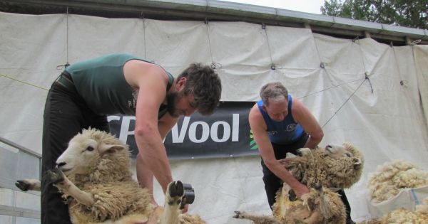 Falklands' team to compete at the World Sheep Shearing championship in ...