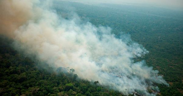 Insufficient rainfall forecasted as Brazil's Amazon dry season end ...