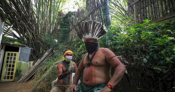 Desperate efforts to save indigenous people from tribes in the Amazon ...