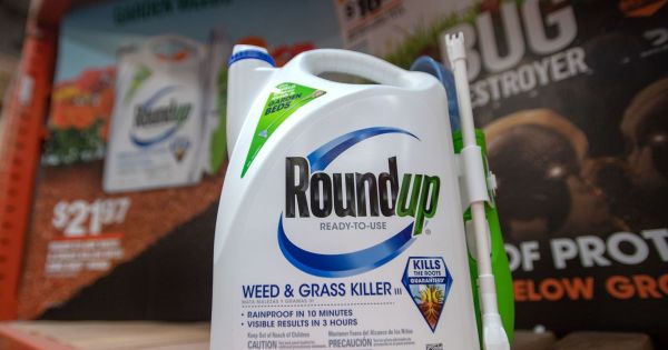 Bayer's glyphosate weed killer Roundup does not require the cancer ...