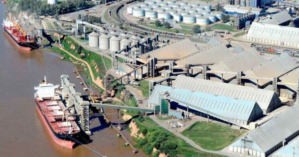 Expropriation project of Argentine giant soymeal exporter is watered ...