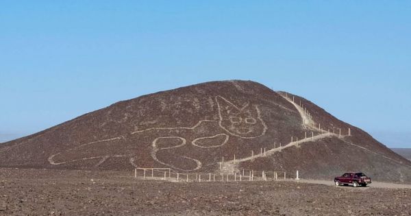 Peruvian archeologists uncover a 37 meter long cat in the Nazca Lines ...