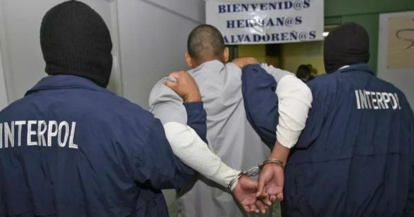 Interpol leads investigators to arrest 13 of the most wanted Latin ...