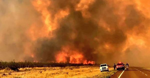 Argentine Patagonia hit by devastating fire covering over 80,000 ...