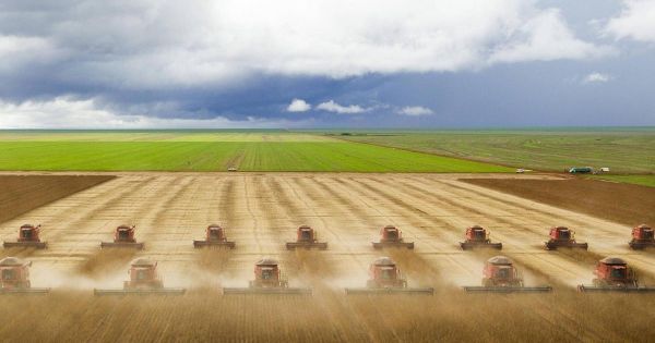 Brazil soaring exports of corn and soybeans — MercoPress