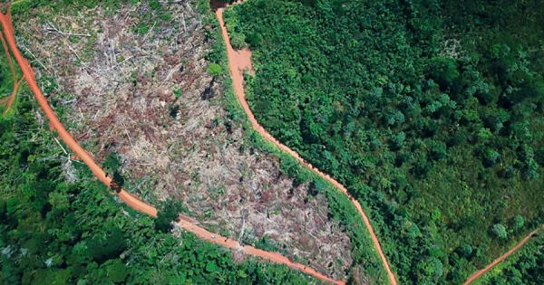 Lula insists on demarcating indigenous lands in Amazon rainforest ...