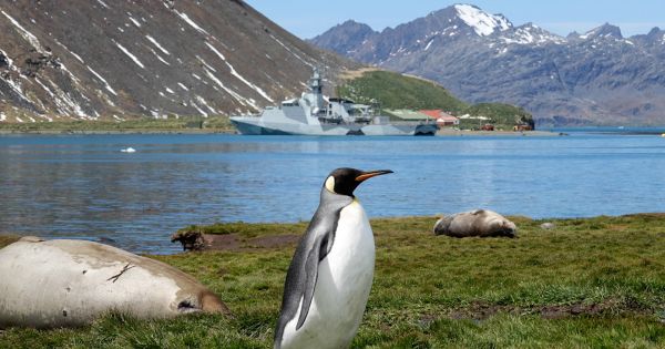 Falklands' Patrol HMS Forth visits South Georgia as part of its ...