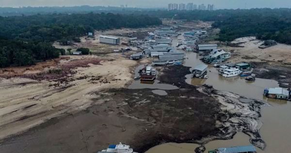 Lowest rainfall in over 40 years affects Amazon basin rivers — MercoPress